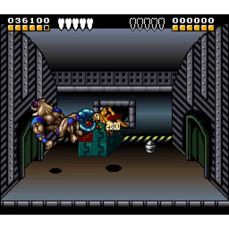 Battletoads Double Dragon Sammleredition SNES